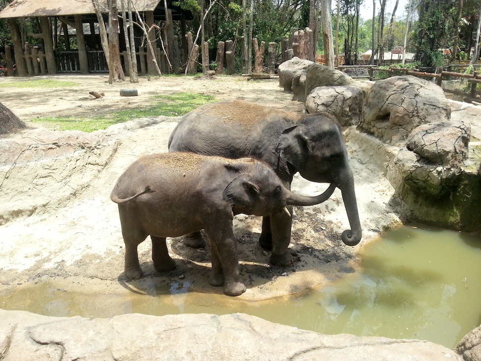 11 Tempat Menarik Di Kemaman Yang Pasti Buatkan Anda Jatuh Cinta Dengan ...